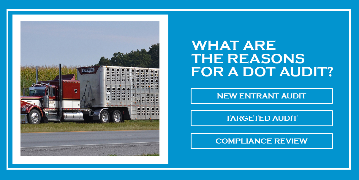 Preparing for a Trucking DOT Audit – American Carrier Services